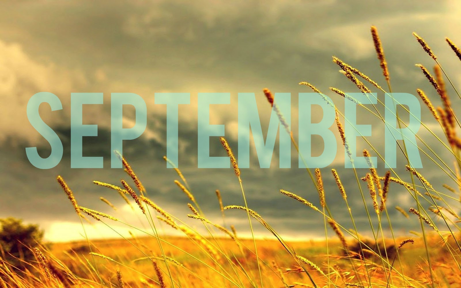 rainy saturday: five rules for (what's left of) September