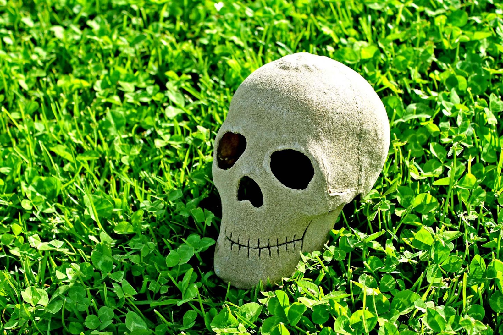 calaveras: CALAVERAS BOTELLAS DE PLÁSTICO RECICLAJE TERMOFORMADO (PET)