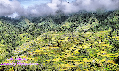 Isna Tako: An Extra-ordinary Visit at Mayoyao, Ifugao