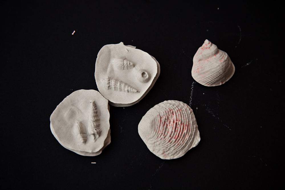 Make and Play: Sea shells, plaster cast / Odlivci školjki u gipsu