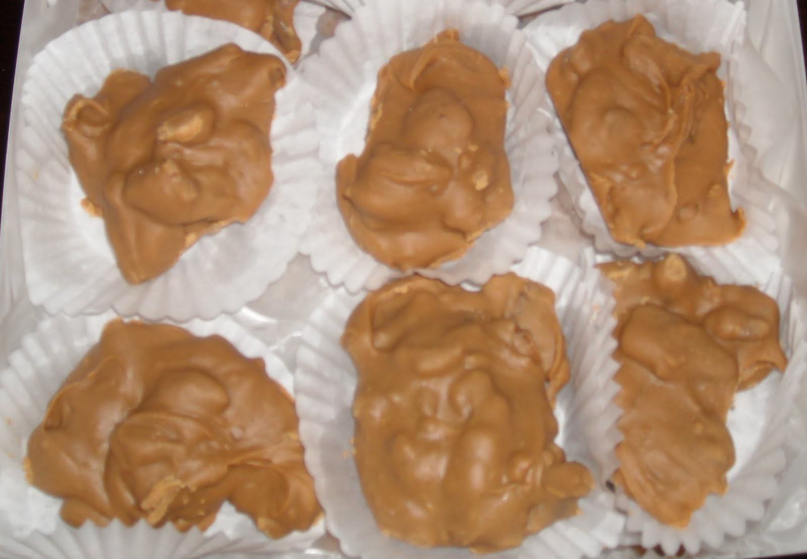 Pecan Candy and Plarines