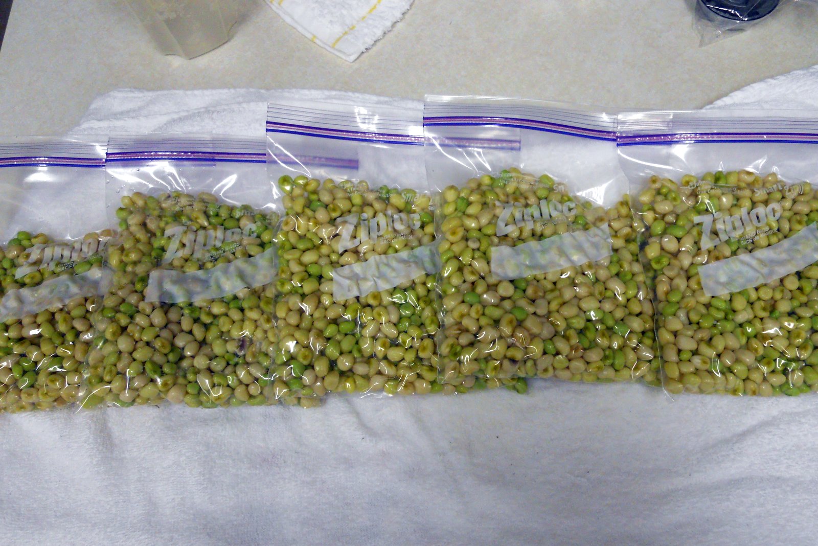 Georgia Home Garden: Zipper Cream Pea Harvest