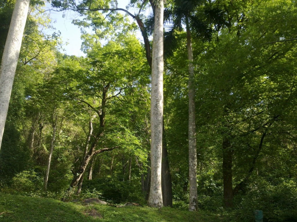 Tamilnadu Tourism: Perunchani Dam, Kalkulam, Kanyakumari