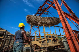 Sugar canes preparation for sugar juice extraction
