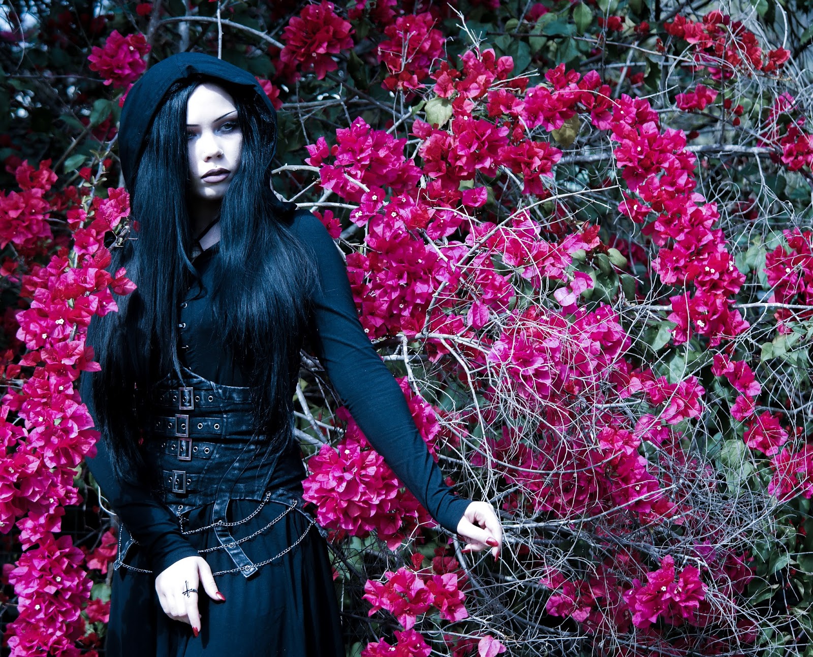 OFFICIAL DEVILNIGHT BLOG