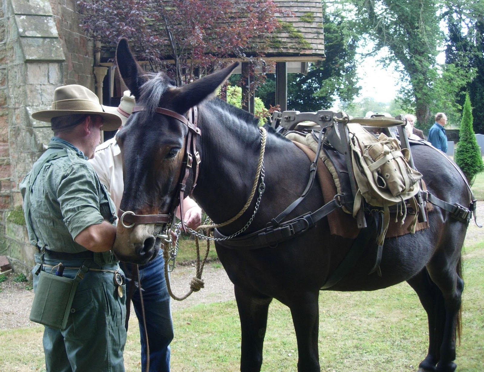 The British Mule Society: What Can Mules Do?