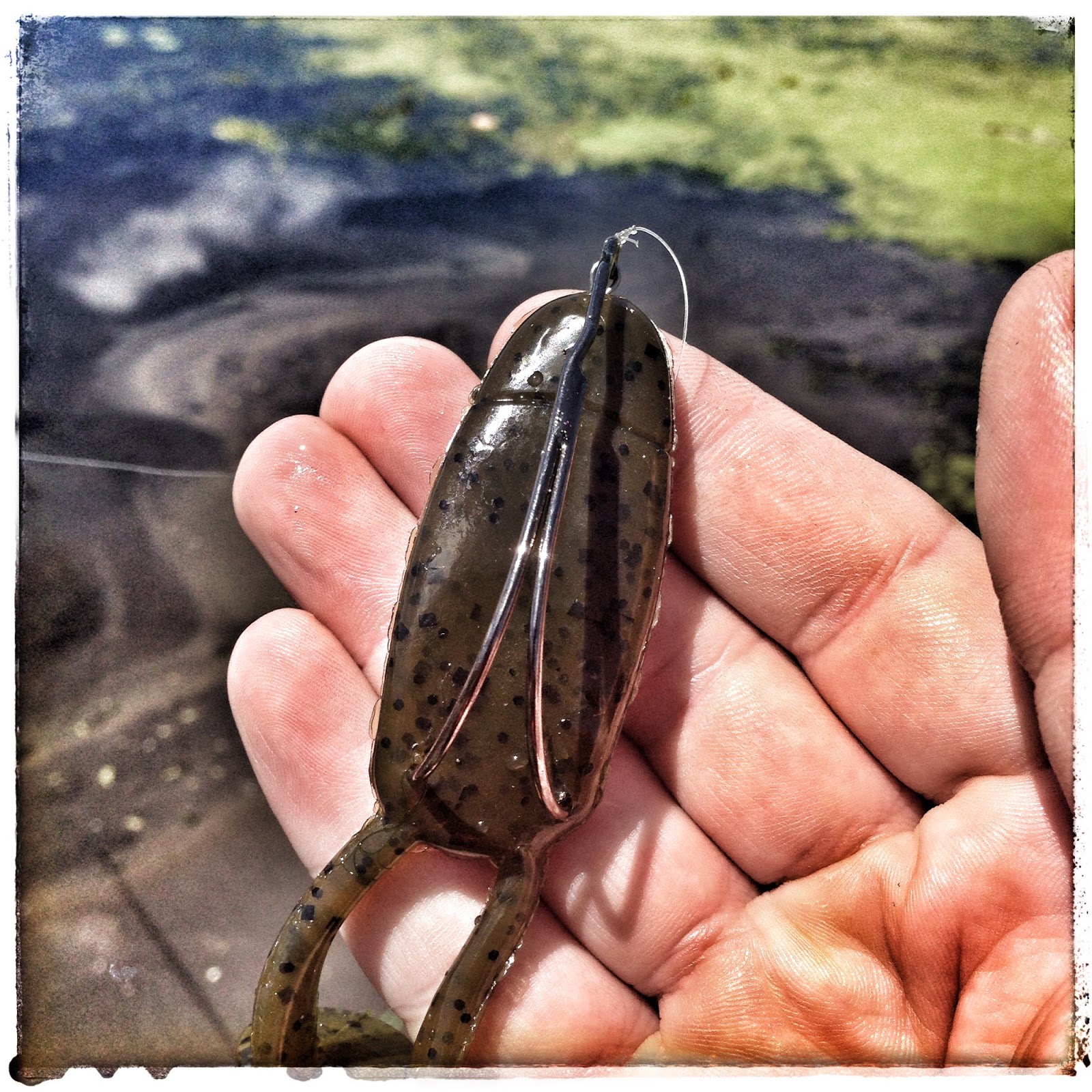 Bass Junkies Frog Pond: Luck-E-Strike Frantic Frog Review