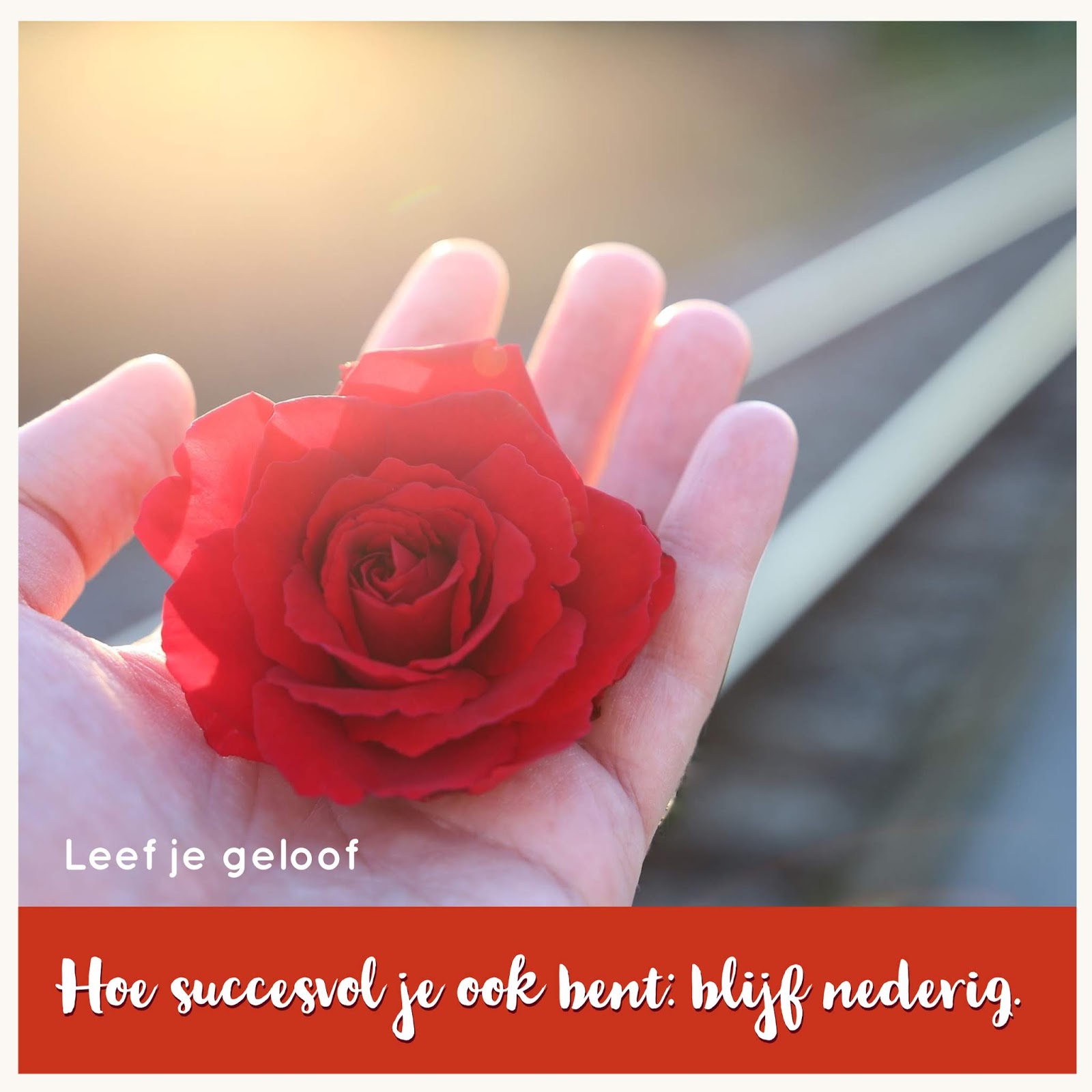 Leef je geloof: Blijf nederig