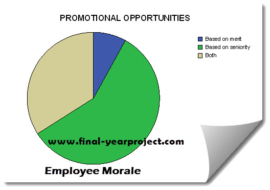Study on Employee Morale - Free Final Year Project's