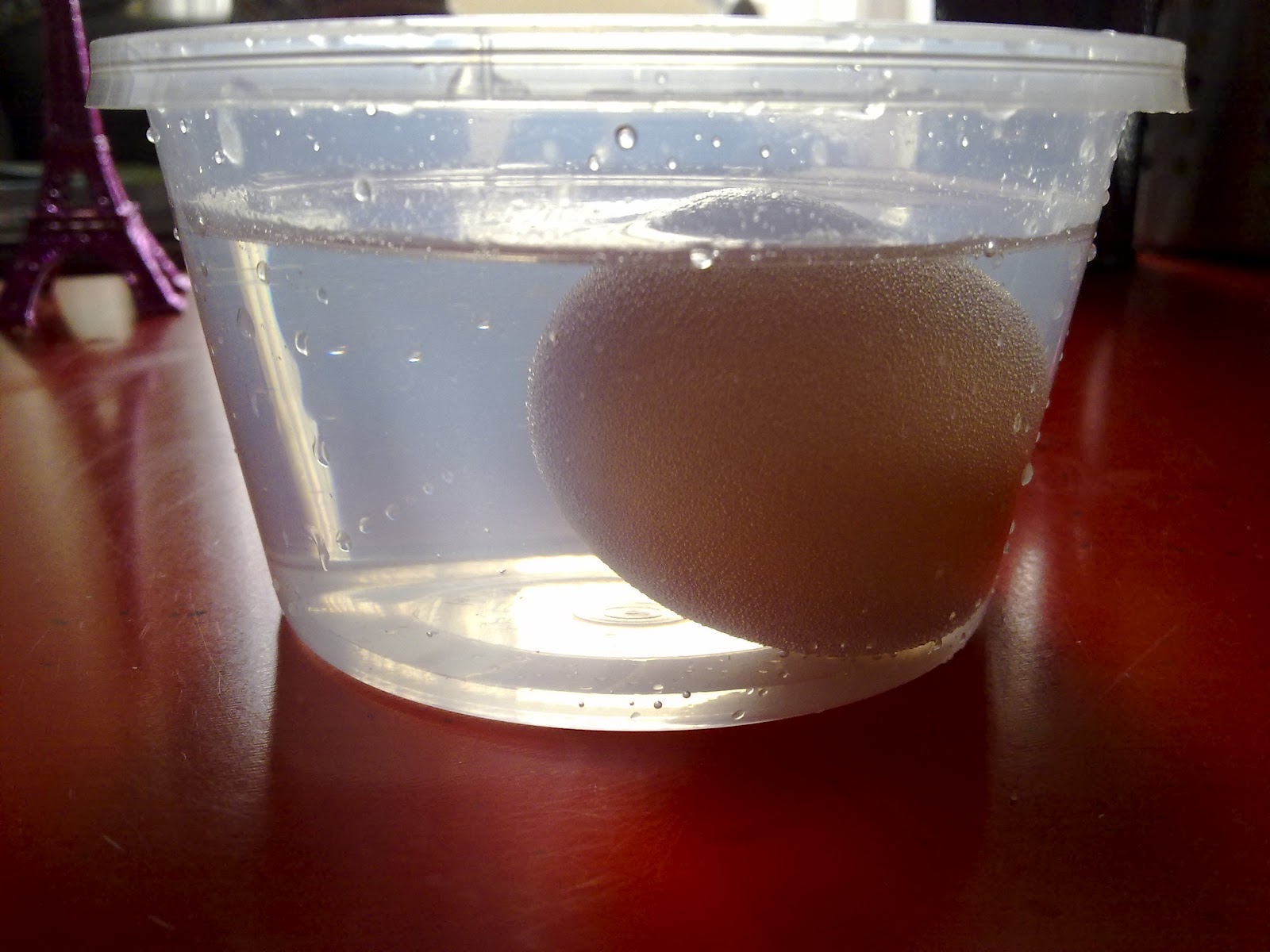 Reese Matthew's Secret Isle: Super Easy and Fun Experiments