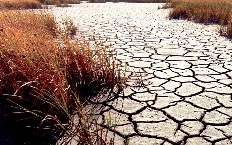 Kurak nedir? Kuraklık ne demektir? Anlamı - Laf Sözlük