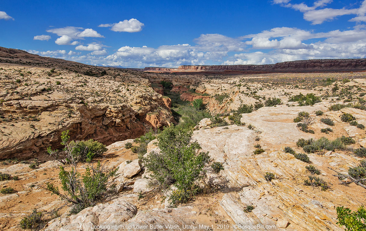 Bosque Bill's Backroads: Southeastern Utah; Part 1 - May 2019