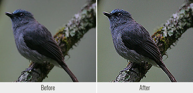 WELCOME DREAMERS: PENGINDERAAN JAUH (IMAGE SHARPENING)