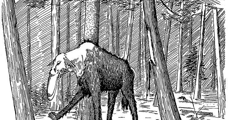 El grimorio de bestias: Hugag