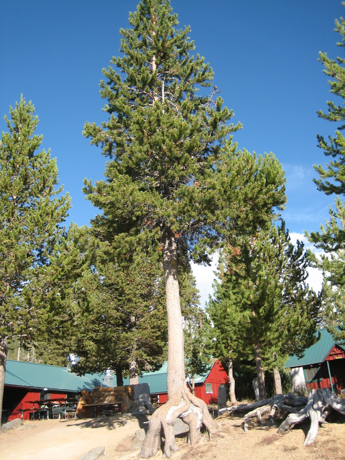 Walkabout With Wheels Blog: The Ride Back into La Pine, Oregon