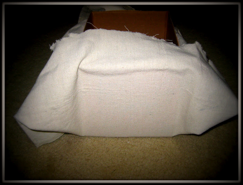 LoveOlympiaJune: DIY Functional Fabric Box
