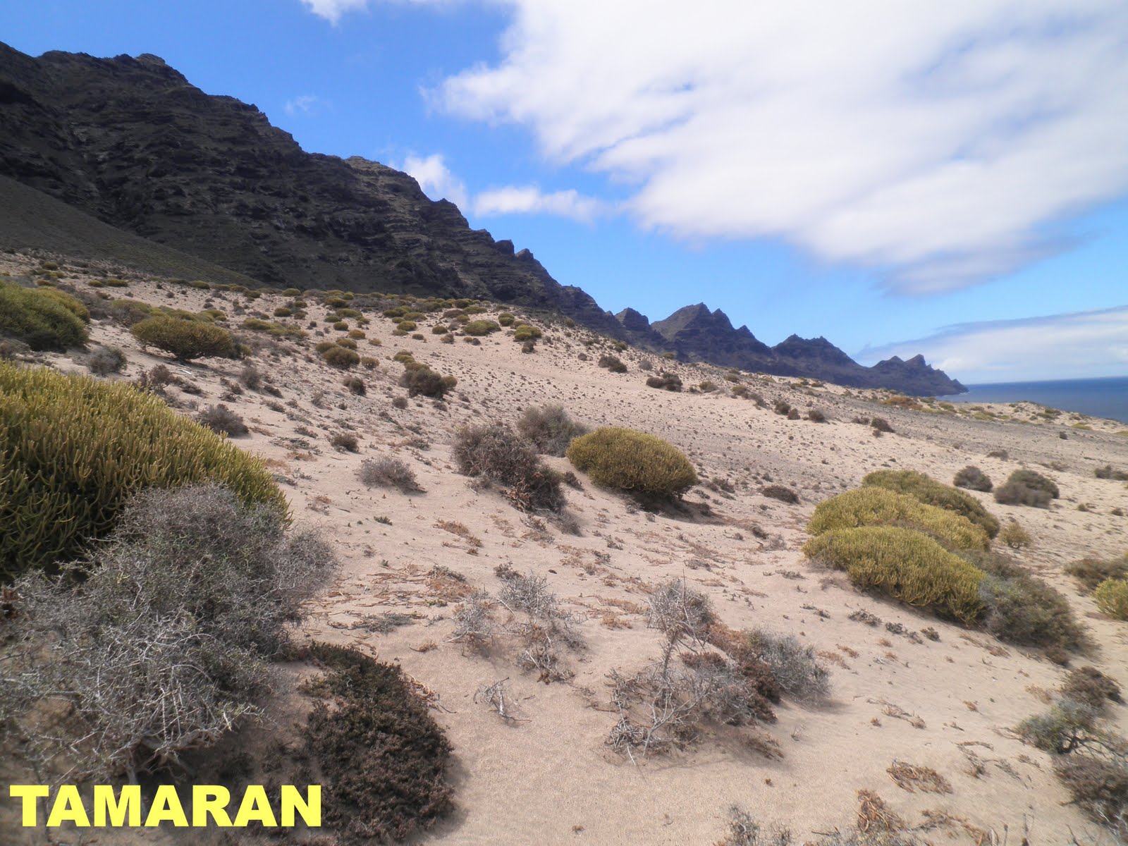 TAMARAN: ARTENARA DE TAMARAN FORMACIONES GEOLOGICAS PLAYAS VIRGENES