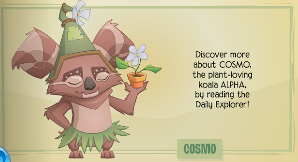 Animal Jam CHEWY TACO: All About Cosmo the Alpha Koala