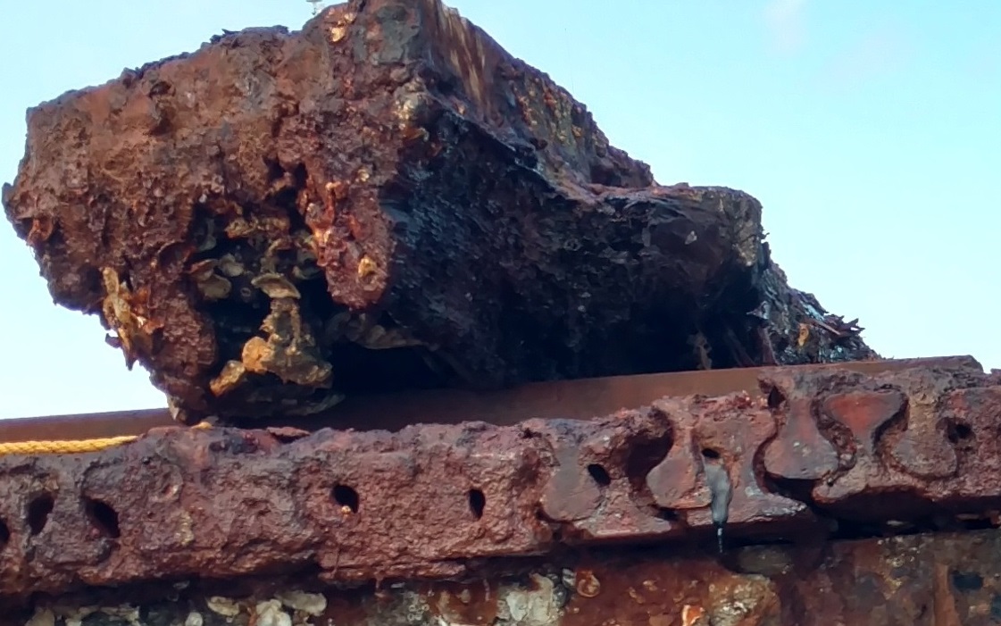 The Civil War Picket: A trip to the CSS Georgia recovery site: Nine ...