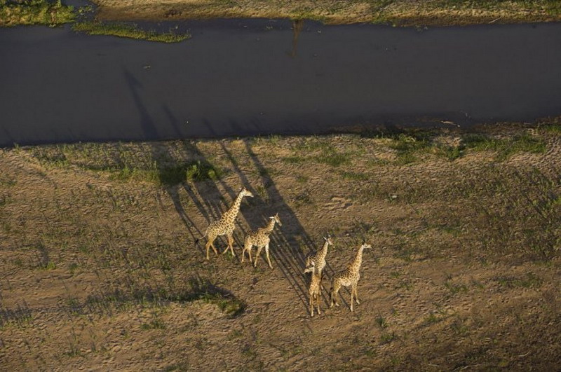 Free Wallpapers: Dry Weather Wallpapers