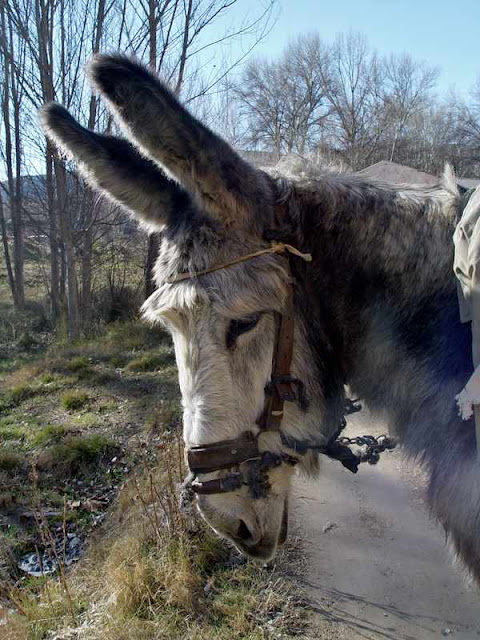 La Rioja de la A a la Z: diciembre 2017