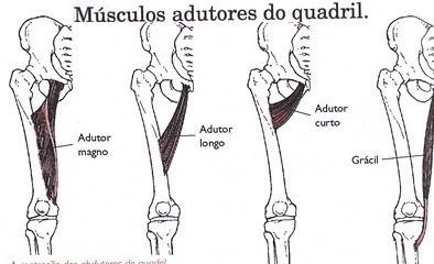 NUTRIÇÃO Etc & Tal: Lesão no adutor da coxa