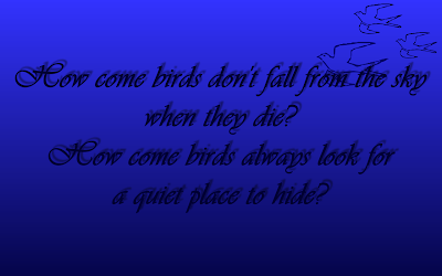 Song Lyric Quotes In Text Image: Birds - Elton John Song Quote Image