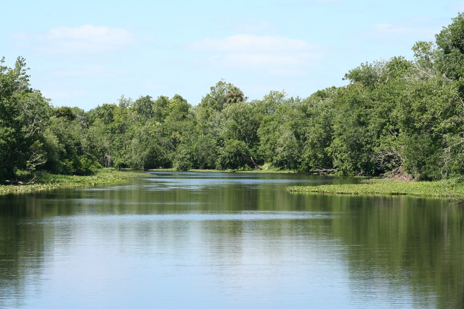 Saint Johns River Facts and Interesting Historical Information