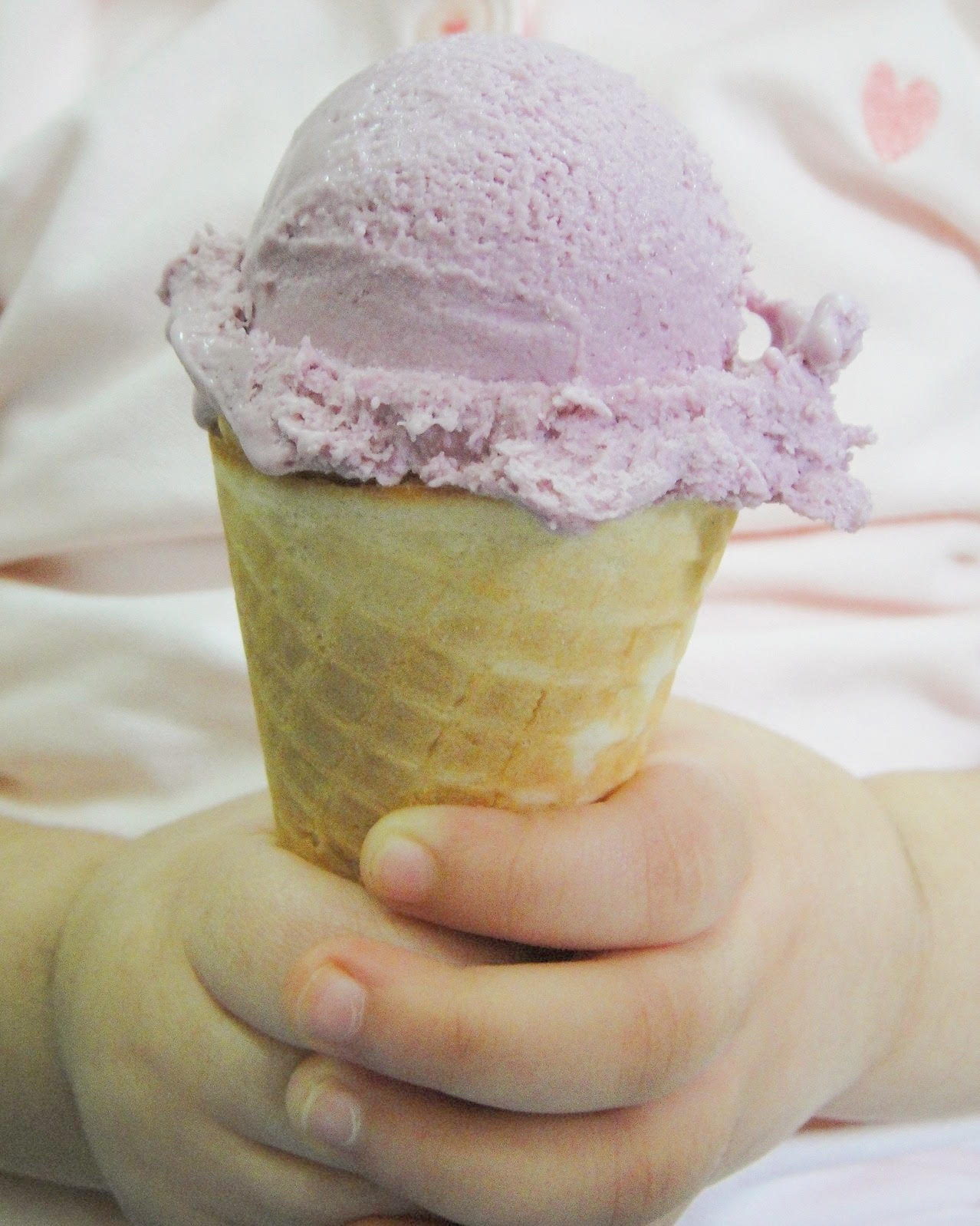 Maryam's Culinary Wonders: 1089. Mulberry Ice Cream