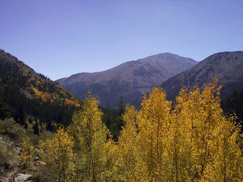 Color in the High Country -Just a Colorado Gal