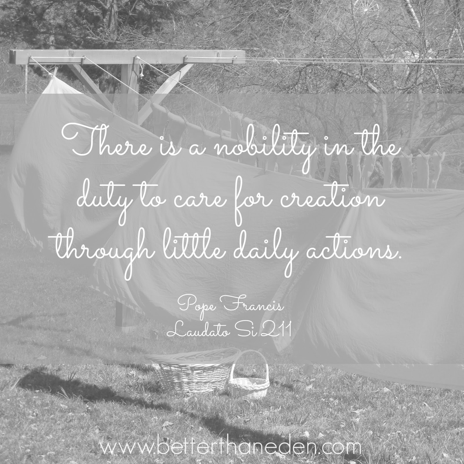 The Quotes I'm Loving From Laudato Si - Mary Haseltine