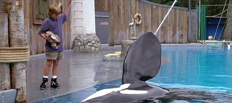 Vale a Pena Relembrar: Free Willy 1