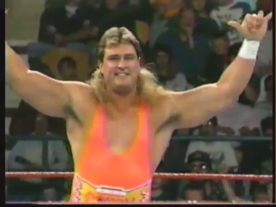 ProWresBlog: WWF Mania 1/9/1993