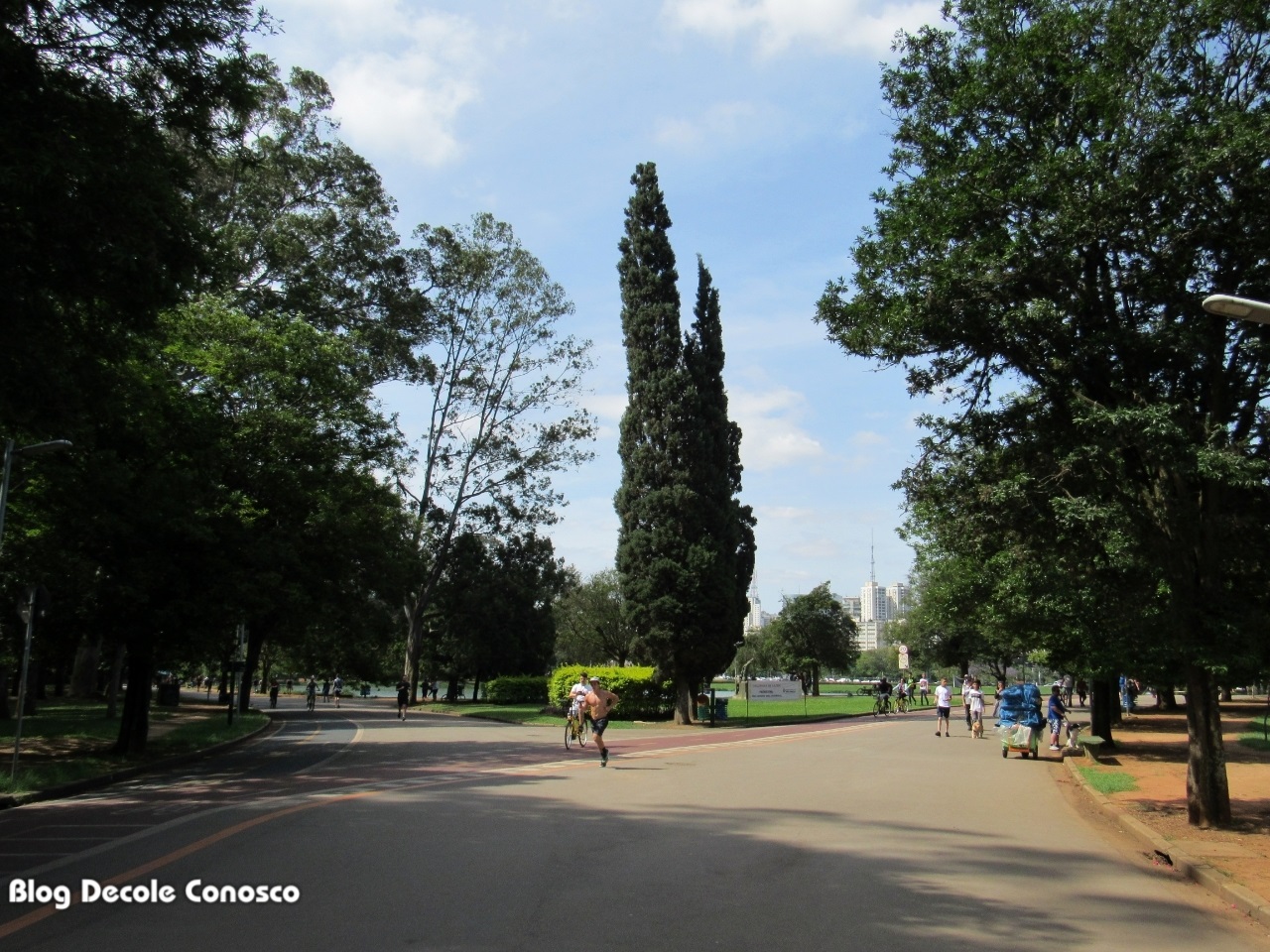 Ibirapuera o parque mais querido de São Paulo