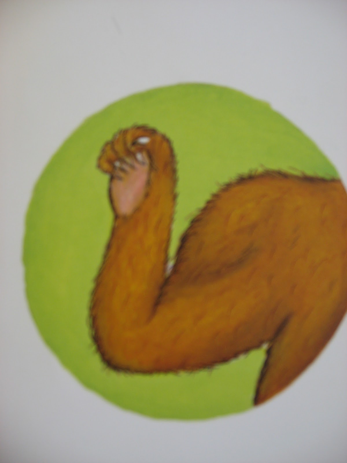 Ms. Dunne's Class: Sr Infants - The Gruffalo's child: The Big Bad Mouse