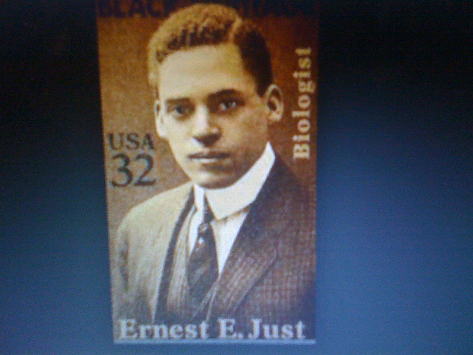 THE BLACK SOCIAL HISTORY:: BLACK SOCIAL HISTORY : AFRICAN AMERICAN ...