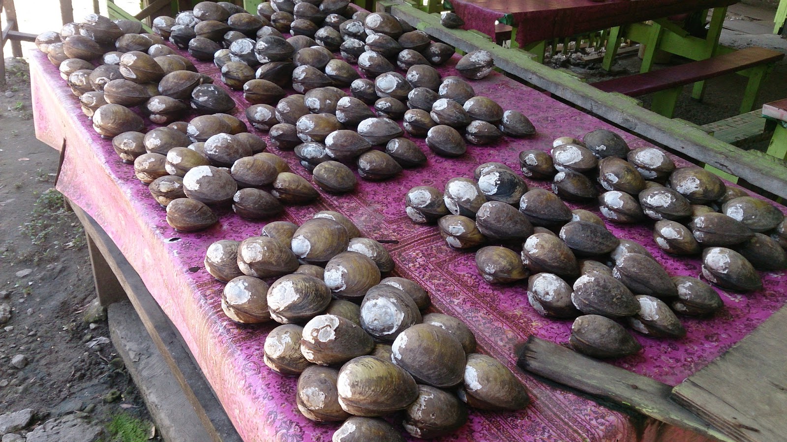 I DREAM. I HOPE. I BELIEVE: Sabah Trip: Kota Kinabalu ke Kundasang ...