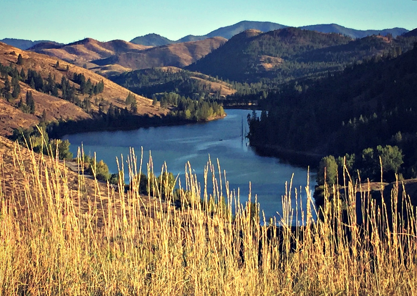 grey matters: the cascade loop