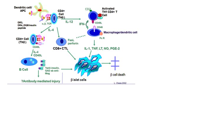 Peran Sitokin Pada Penyakit Autoimun : Pengertian Autoimunitas dan ...