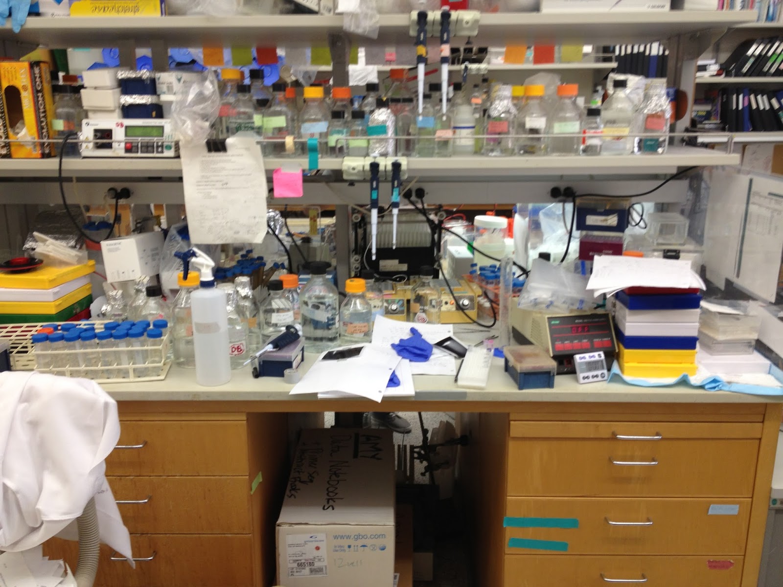 UCLA MARC: Adrian Hernandez Blog 1