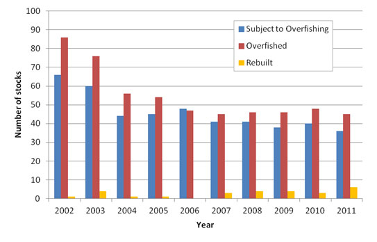 Over-fishing: Who does overfishing affect? How does it affect us? Why ...