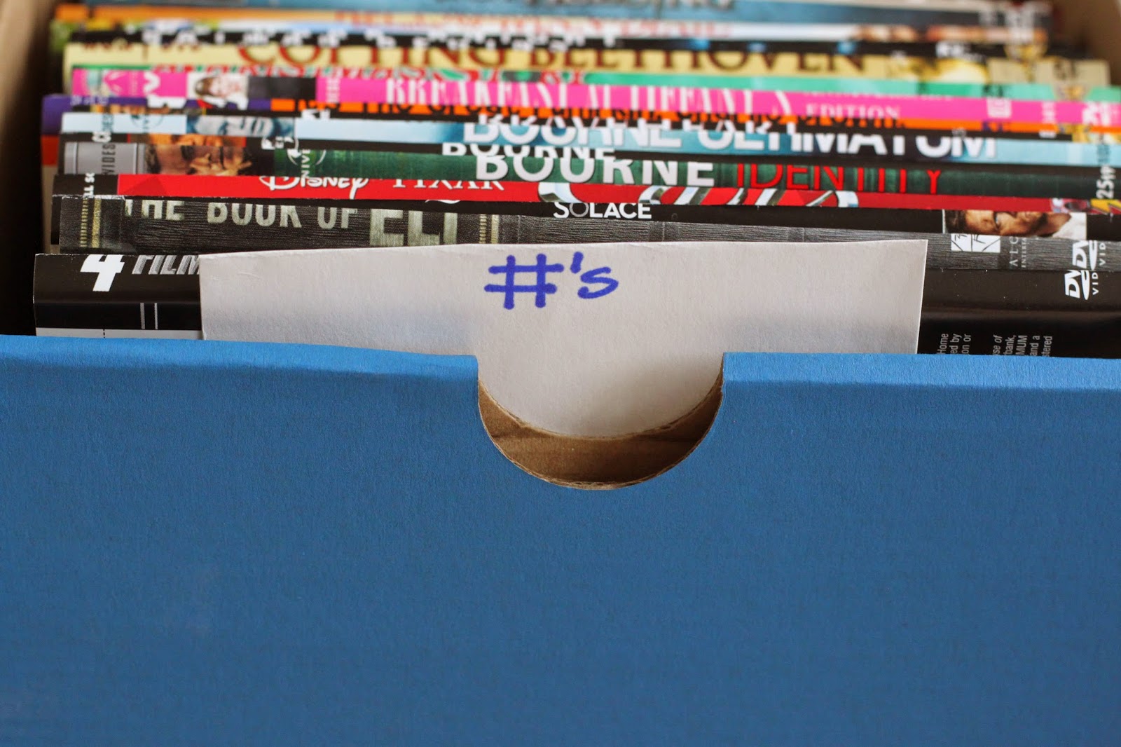 A Simple Kind of Life: Easy Compact DVD Storage Solution