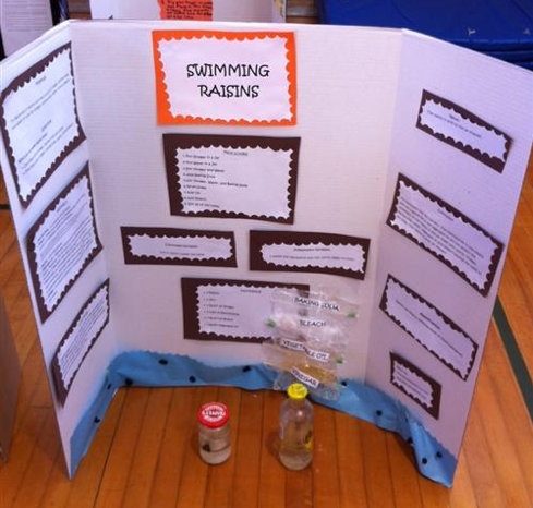 YCES Mad Science Fair: Display Board Examples