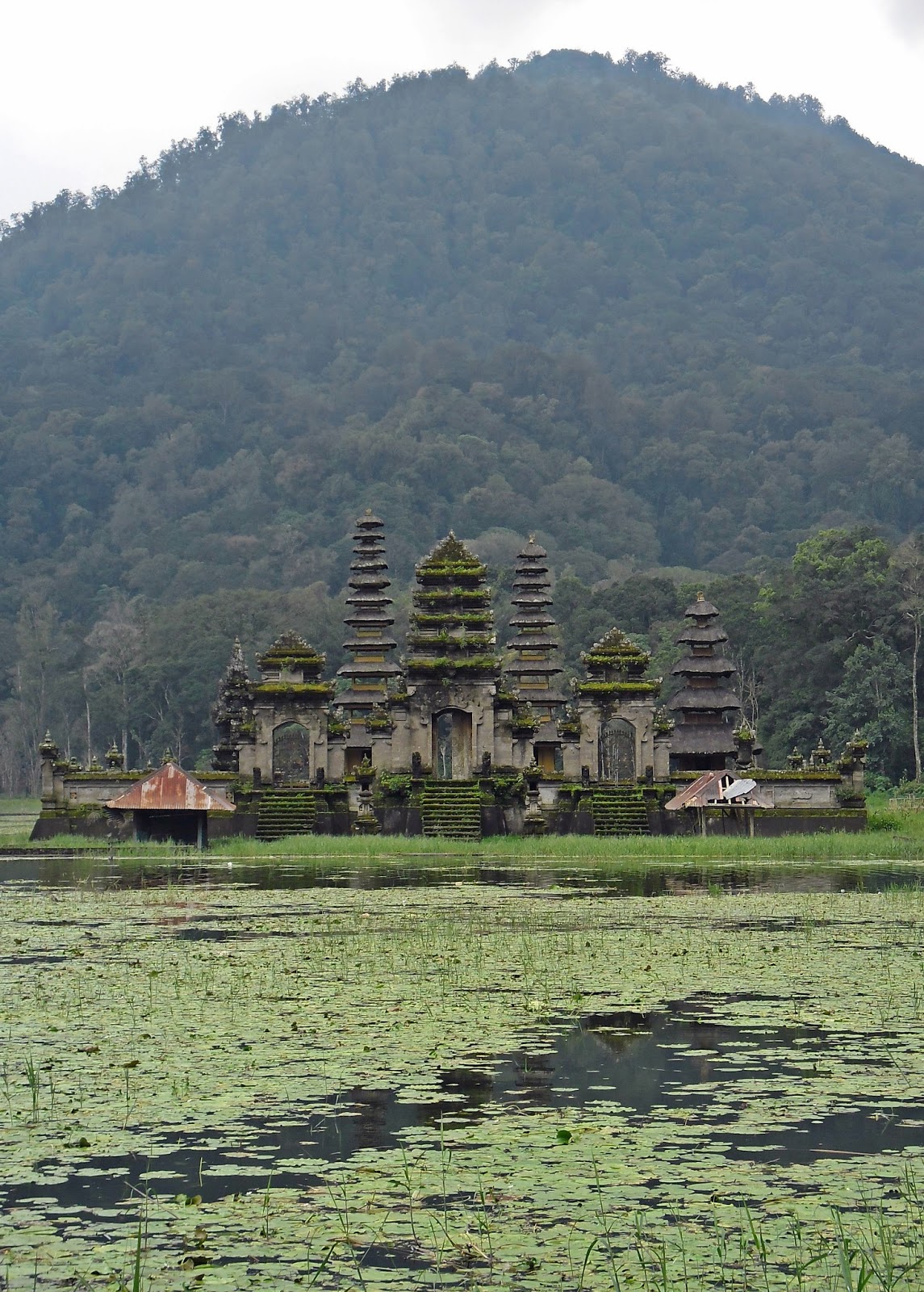 Travel Life Love: Bedugul Area