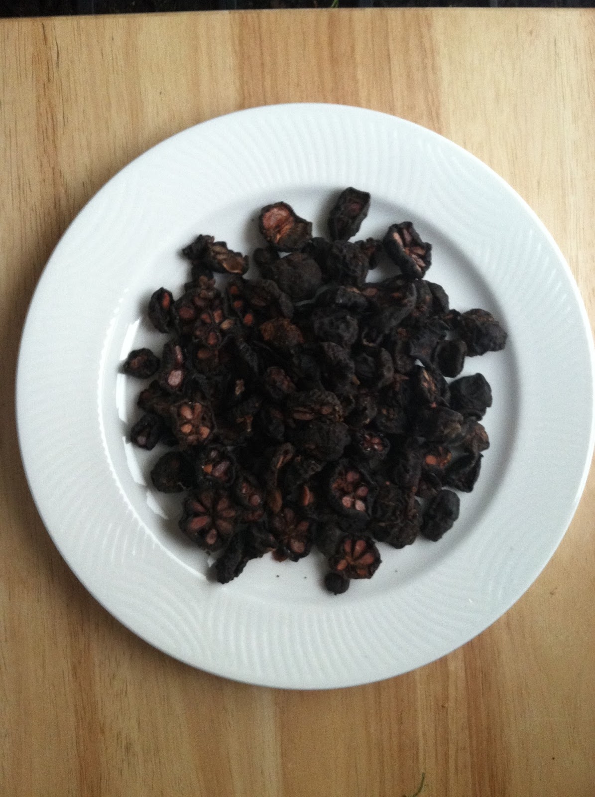 From Scratch and From Seed: Kokum Syrup