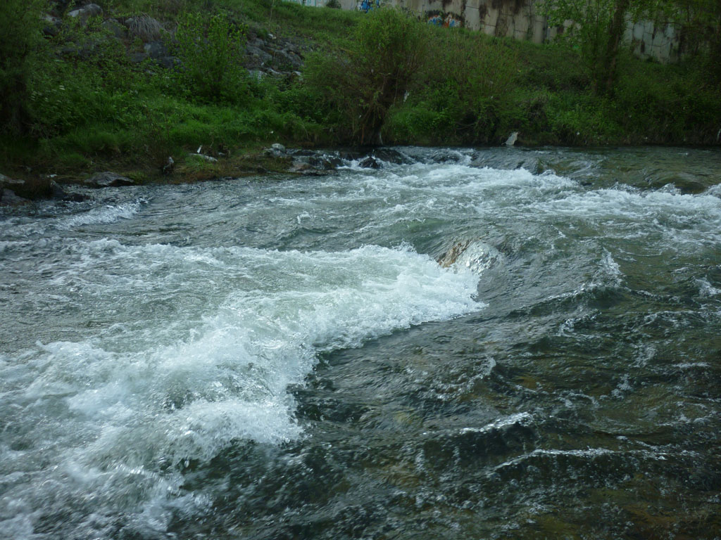 asturmosca: Río Nalón, cuando el rio suena...