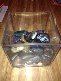 McKenzie Farrell Professional Portfolio