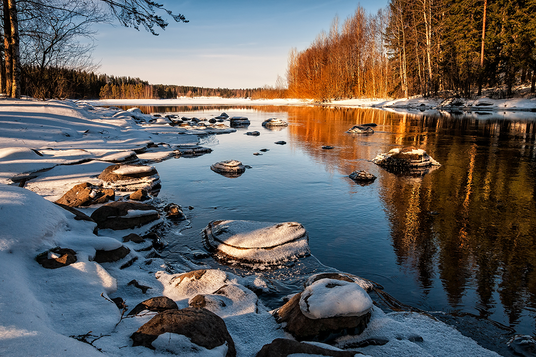Banco de Imágenes Gratis: 15 fondos gratis de paisajes fascinantes y flores