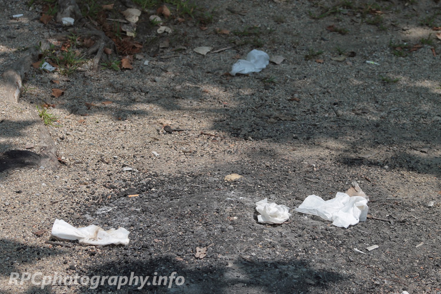 R.p.C Photography: John Conner Nature Preserve Trail Park (AKA Smalleys ...