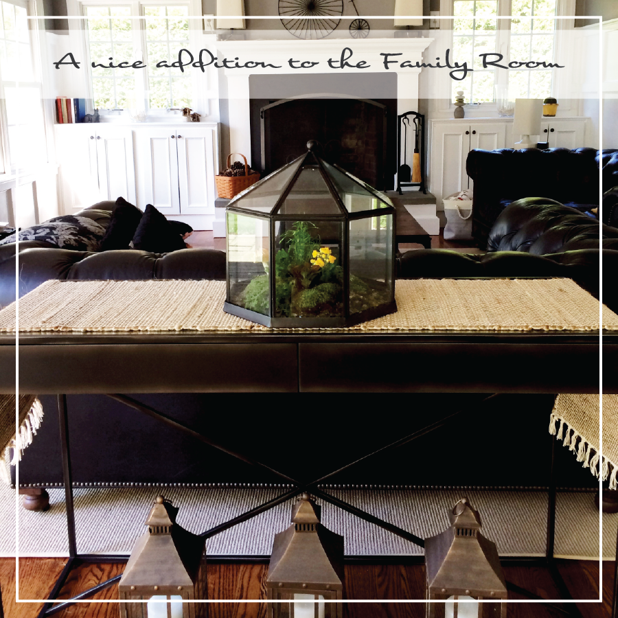 Easton Place Designs Blog: Terrarium Inspiration and Planting